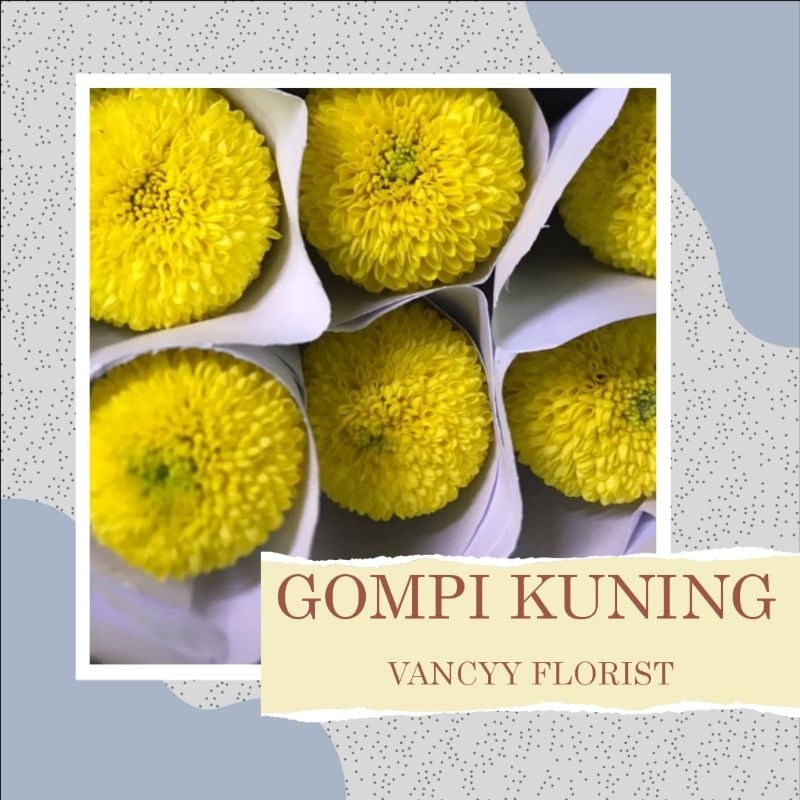 Jual Bunga Gompi Kuning Fresh Pertangkai / Bunga Gompi Kuning Vancyy ...