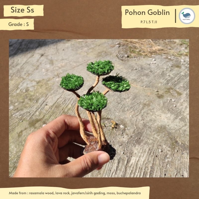 Jual BONSAI MINI POHON GOBLIN |Hiasan Akuarium |Hiasan Aquatic |Tanaman ...