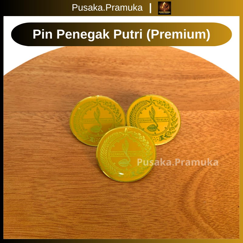 Jual Pin Topi Putra Putri Pramuka Siaga, Penggalang, Penegak / Pin Topi ...