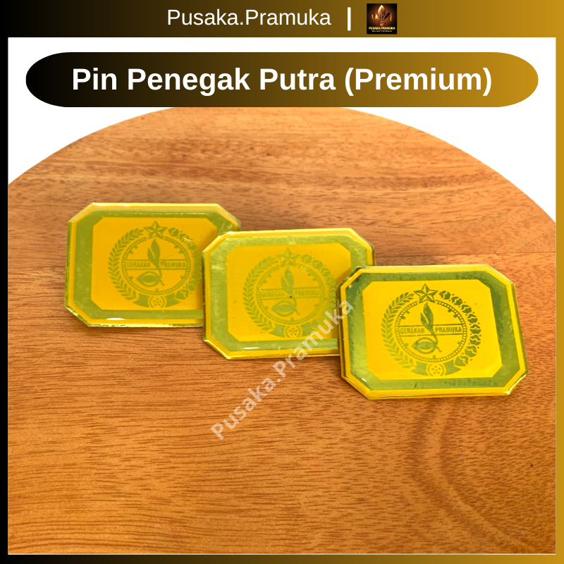 Jual Pin Topi Putra Putri Pramuka Siaga, Penggalang, Penegak / Pin Topi ...