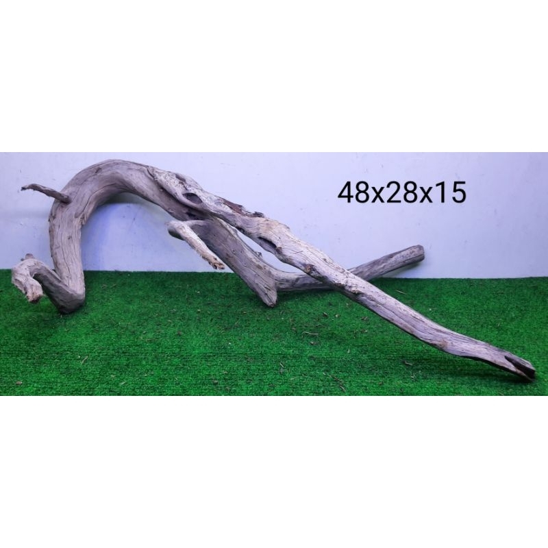 Jual Kayu Santigi Laut - Kayu Tenggelam - Aquascape - Channa - 48x28x15 ...