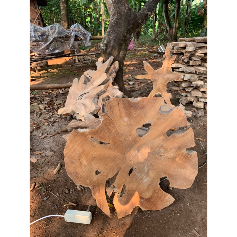 Jual Bintangan Akar Jati Kepala Kayu Mentahan Bahan Meja Dekorasi Dll ...