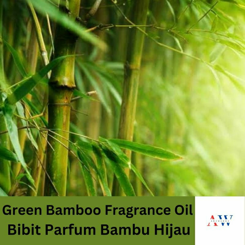 Jual Green Bamboo Fragrance Oil Bibit Parfum Bambu Hijau B2A99 | Shopee ...