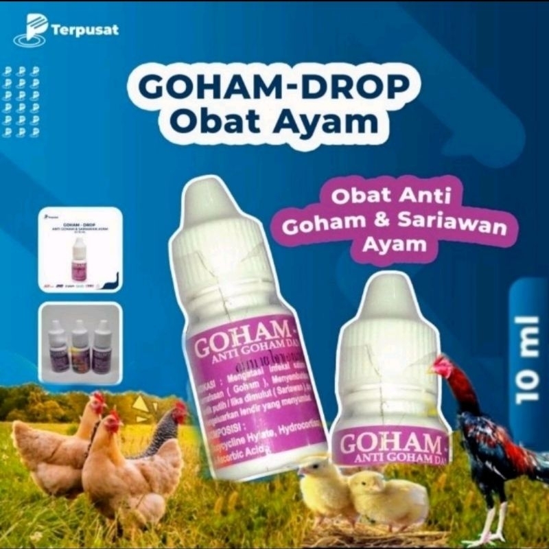 Jual Obat Ayam Goham Drop 10 ml Sariawan Infeksi Saluran Nafas | Shopee ...