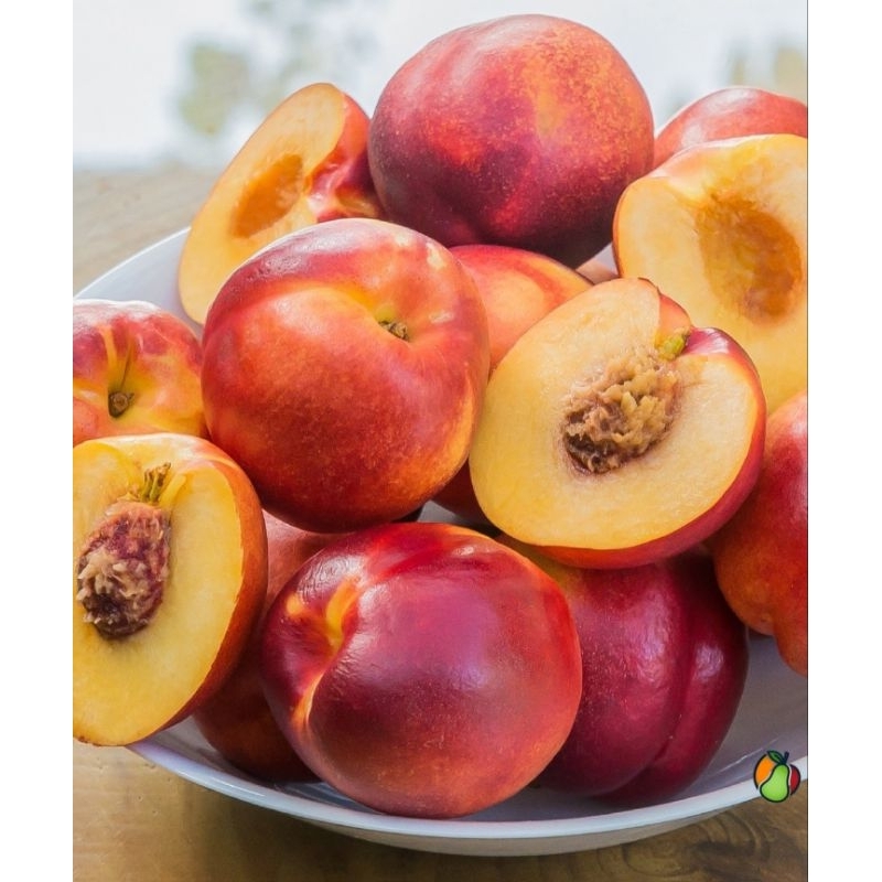 Jual Nectarine 500gr/pack | Shopee Indonesia