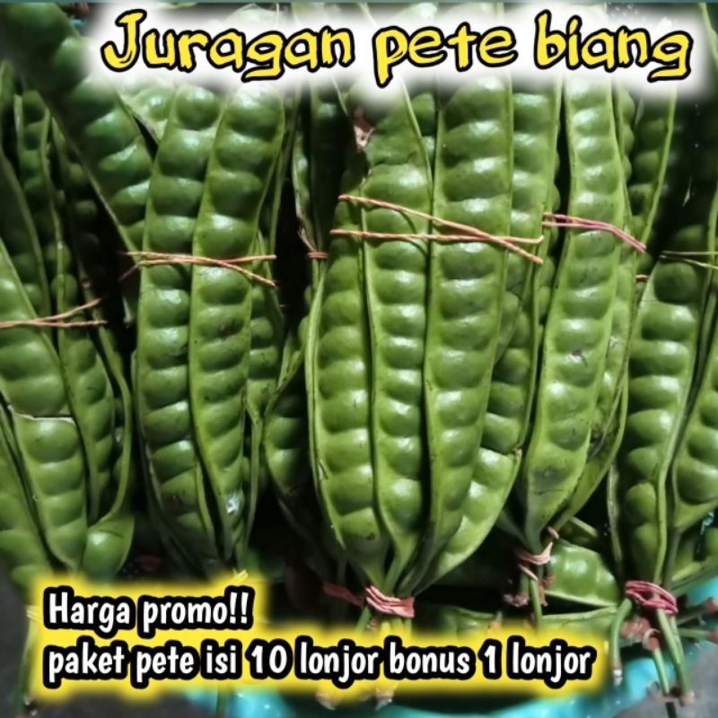 Jual PROMO PETE MURAH HARGA PERIKAT ISI 10 LONJOR GRATIS BONUS 1 LONJOR ...