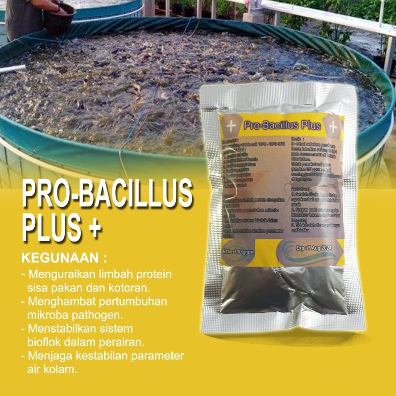 Jual pro bacillus plus bubuk probiotik kolam bioflok | Shopee Indonesia