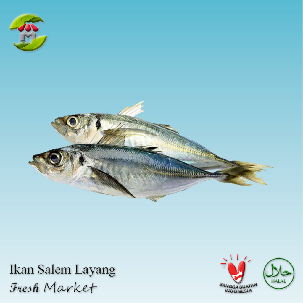 Jual [BOGOR] Ikan Layang IQF Pack 900gr - 1kg | Shopee Indonesia