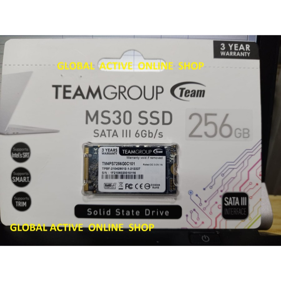 Jual Team SSD MS30 Msata M.2 2242 256GB Team 256 GB M2 Sata ...