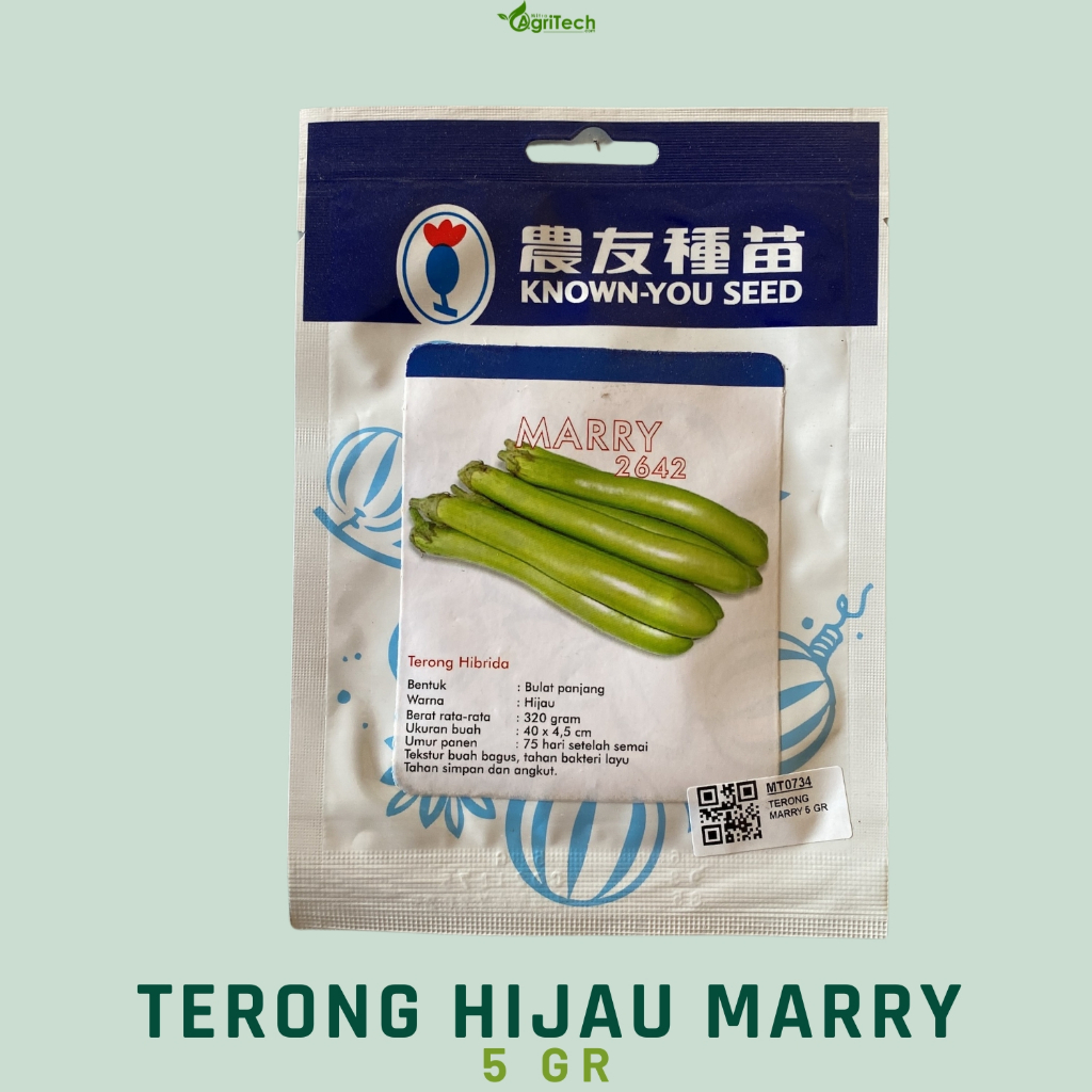 Jual BENIH BIBIT TERONG HIJAU MARRY F1 5 GR & 10 GR HYBRID HIBRIDA ...