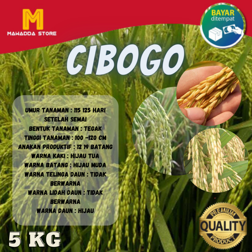 Jual Biji Padi Unggul CIBOGO Kemasan 5KG | Shopee Indonesia