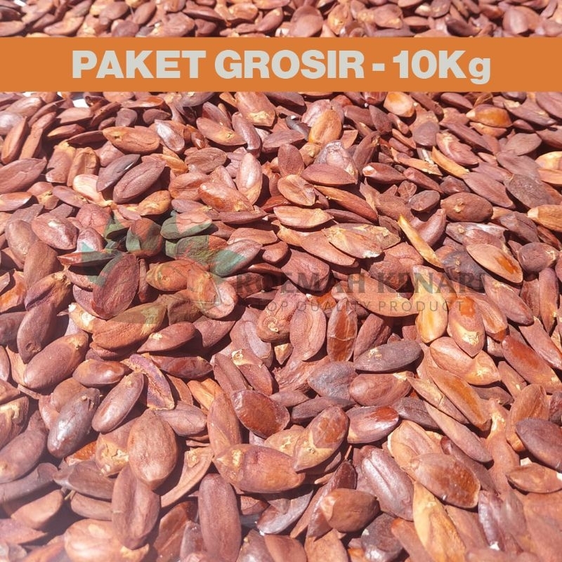 Jual PAKET GROSIR - Termurah Kacang Kenari Kulit Ari Mentah 10 kg ...