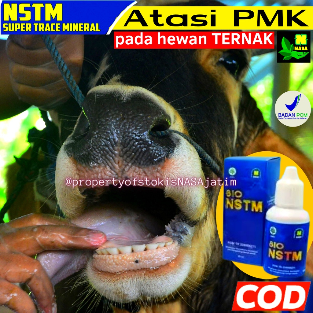 Jual BIO NSTM OBAT PMK SAPI AMPUH - UNTUK SAPI GAK MAU MAKAN DAN LUKA ...