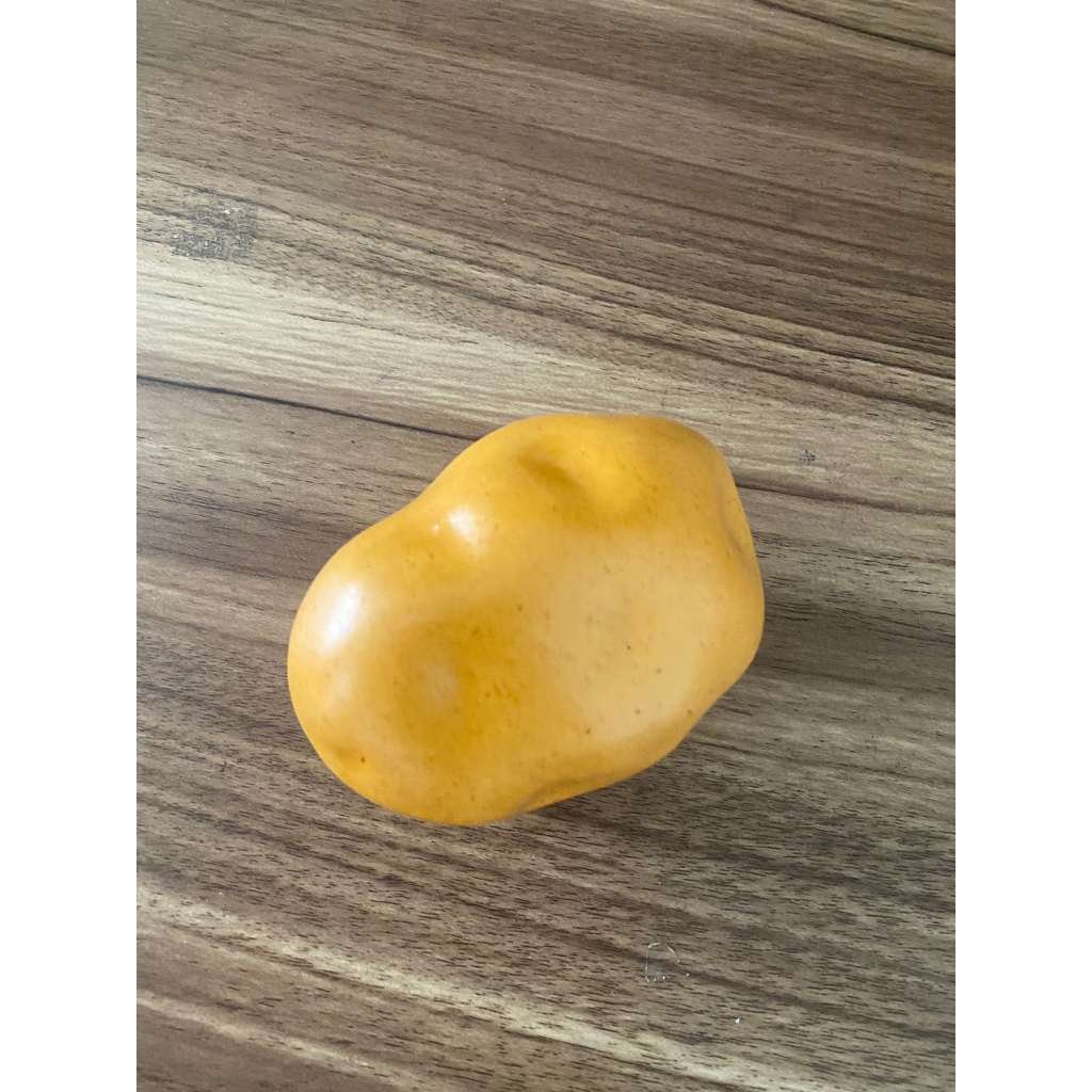 Jual Display buah sayur sintetis artificial plastik fake dekorasi rumah ...