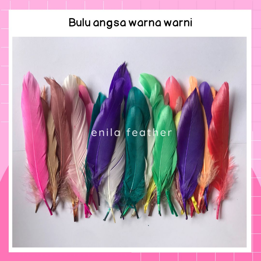 Jual BULU ANGSA UJUNG BULAT WARNA WARNI ISI 100 BIJI - BULU AYAM WARNA ...