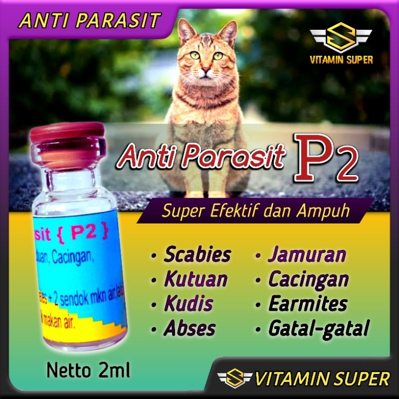 Jual Obat Kucing Anti Parasit P2 | Obat Scabies, Jamuran, Abses, Kutuan ...
