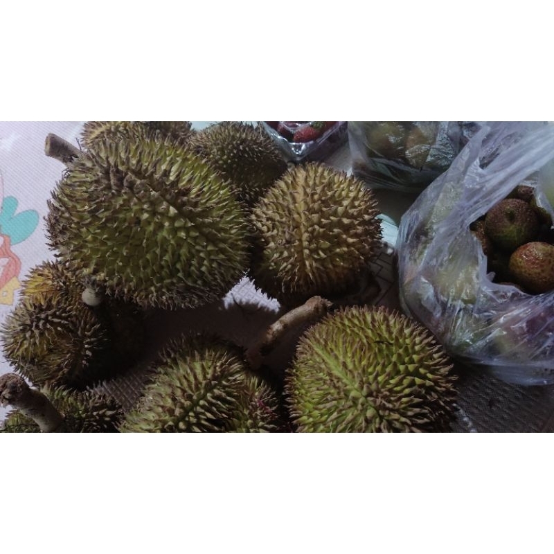 Jual Buah Lay | Shopee Indonesia
