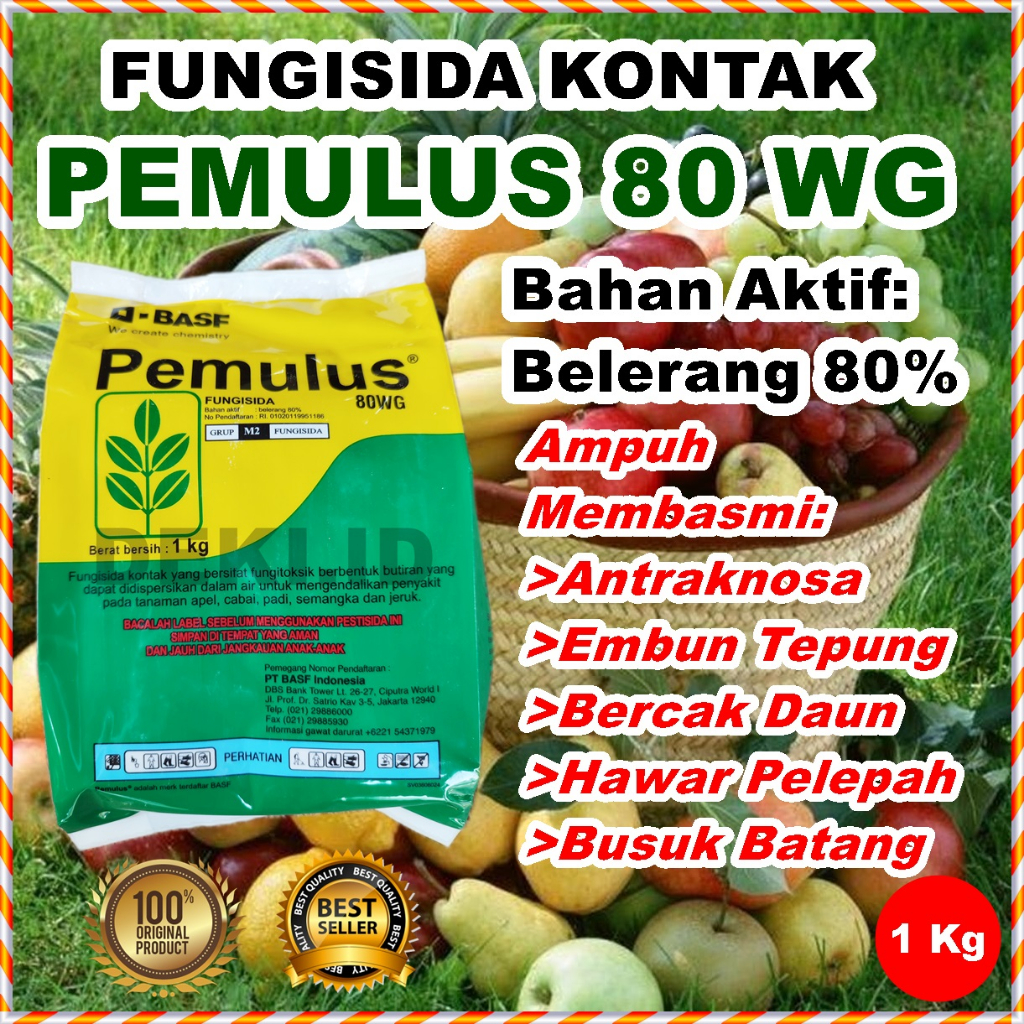 Jual Fungisida Pemulus 80 WG Sulfur Belerang 80% 1 KG Akarisida ...
