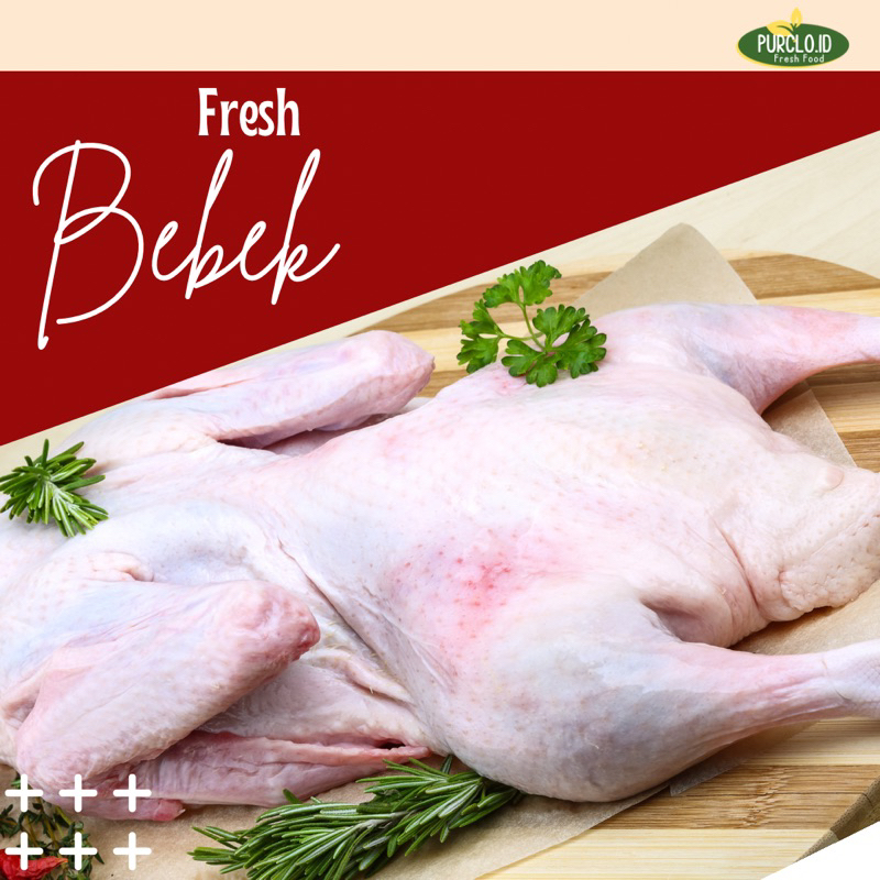 Jual bebek lokal HIDUP potong DADAKAN fresh bandung | Shopee Indonesia