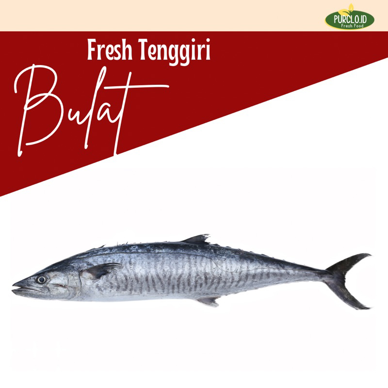 Jual ikan steak / kerok / fillet tenggiri super premium fresh | Shopee ...
