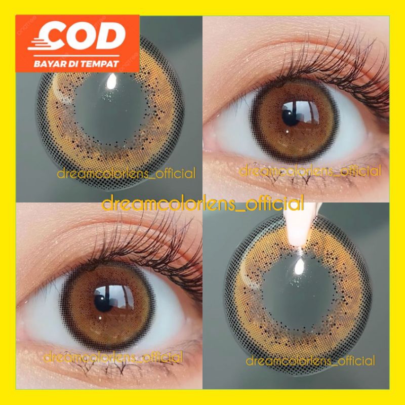 Jual SOFTLENS MINI BANG BROWN BY KITTYKAWAII | SOFTLENS NATURAL ...