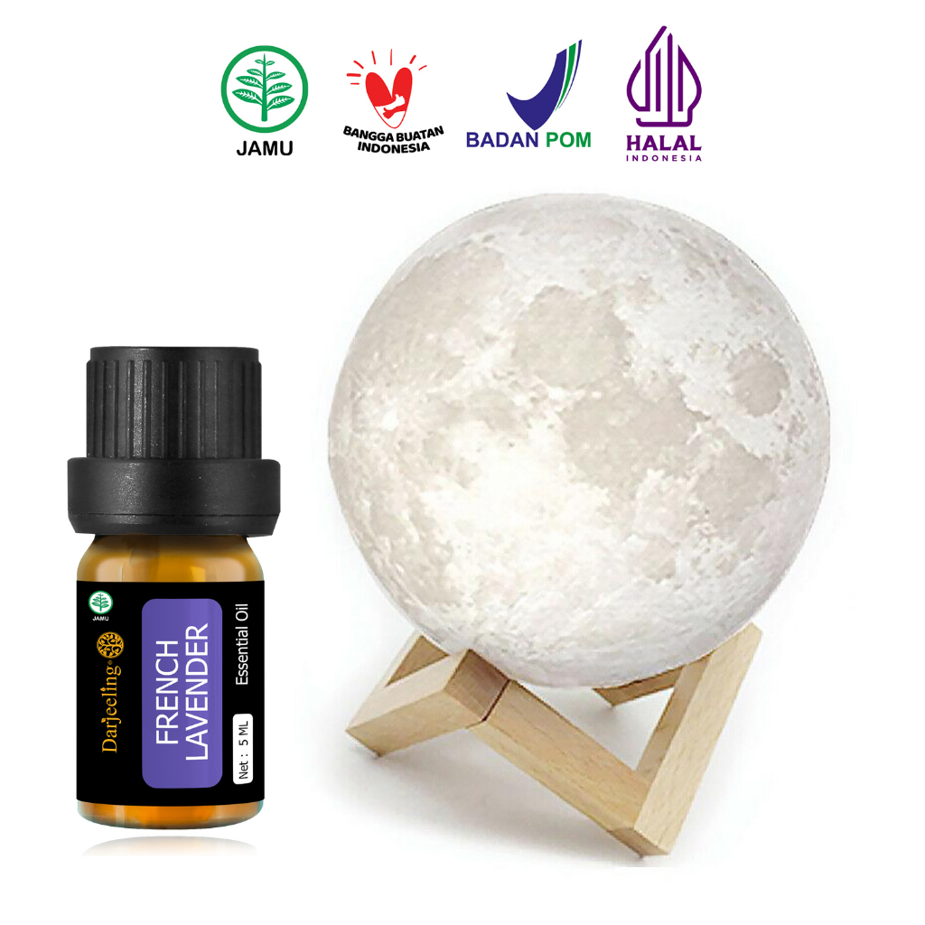 Jual 3D Moon Night Light Humidifier Diffuser | Essential Oil ...