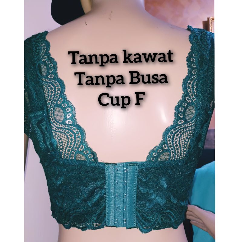 Jual Bra Jupe cup Besar, Bra Penutup Lemak sayap Lebar Kait 5 | Shopee ...