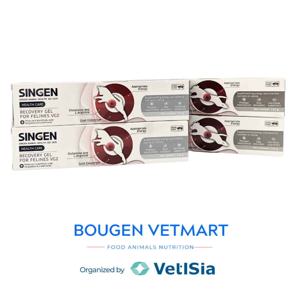 Jual SINGEN Recovery Gel For Canines (VG1) and Felines (VG2) | Shopee ...