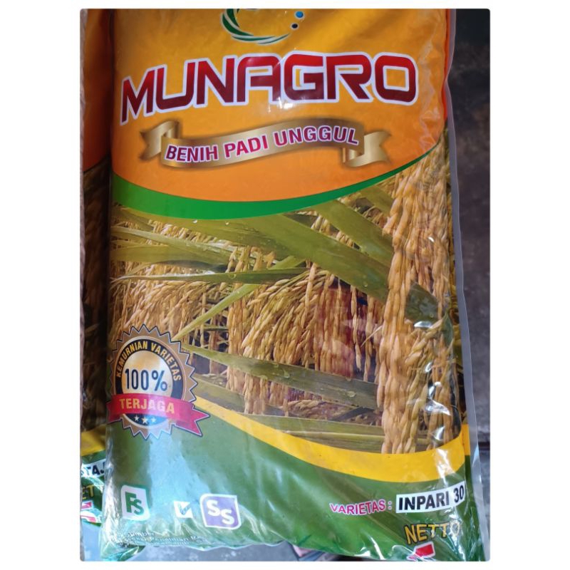 Jual Benih Padi Inpari 30 Label Ungu Munagro 5Kg | Shopee Indonesia