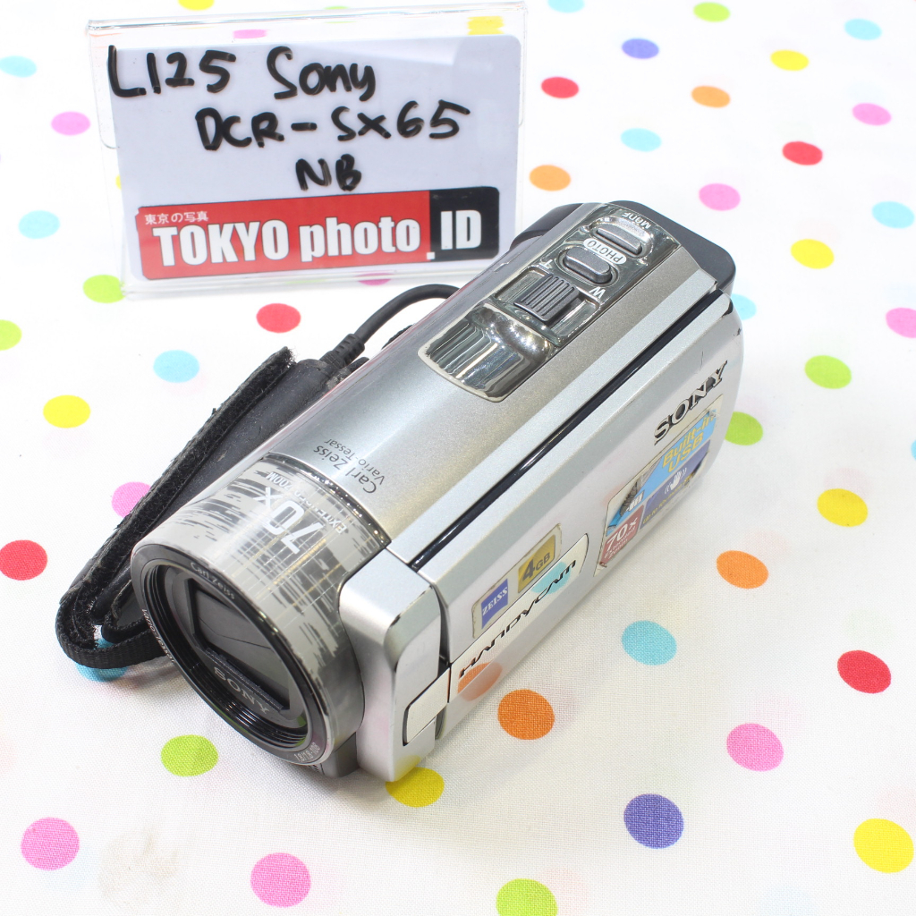 Jual Sony DCR-SX65 | Shopee Indonesia