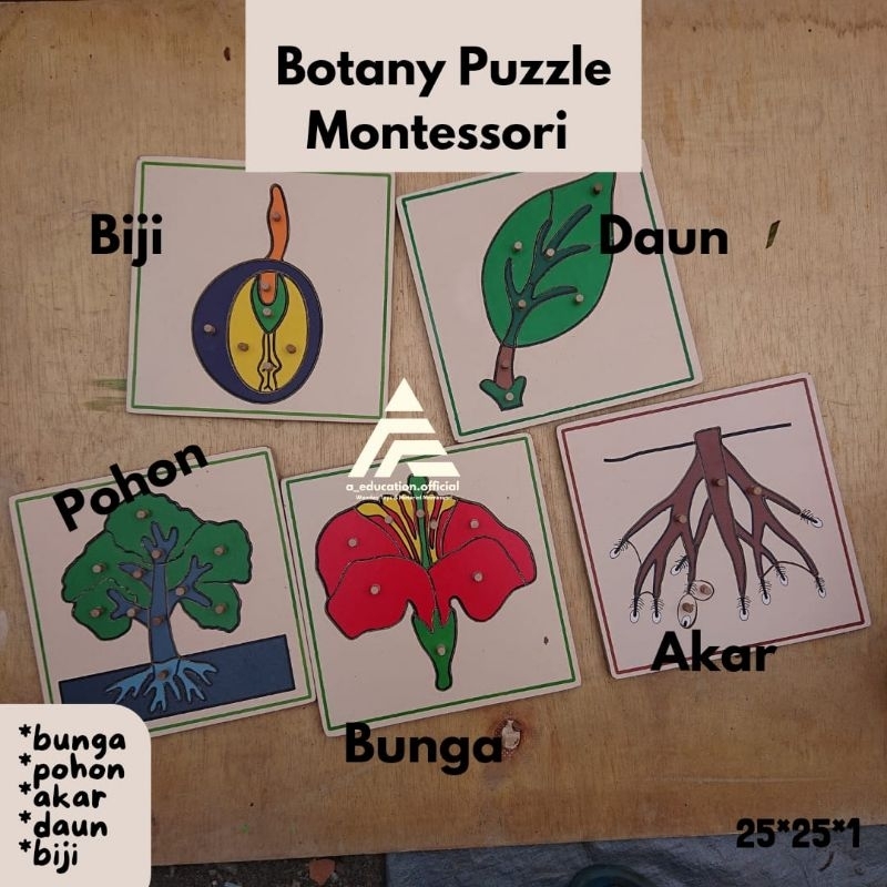 Jual Botany Puzzle Montessori puzzle tumbuhan bunga pohon akar daun ...