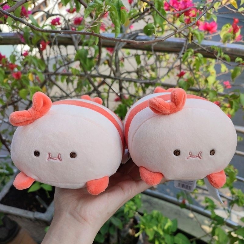 Jual MINISO VITALITY CAFETERIA 15CM LYING PLUSH TOY BUTTERFLY SHRIMP ...