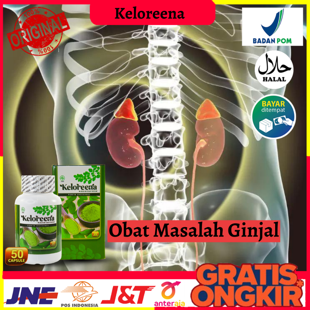 Jual Obat Masalah Ginjal, Obat Masalah Paru Paru, Obat Bab Keras, Obat ...