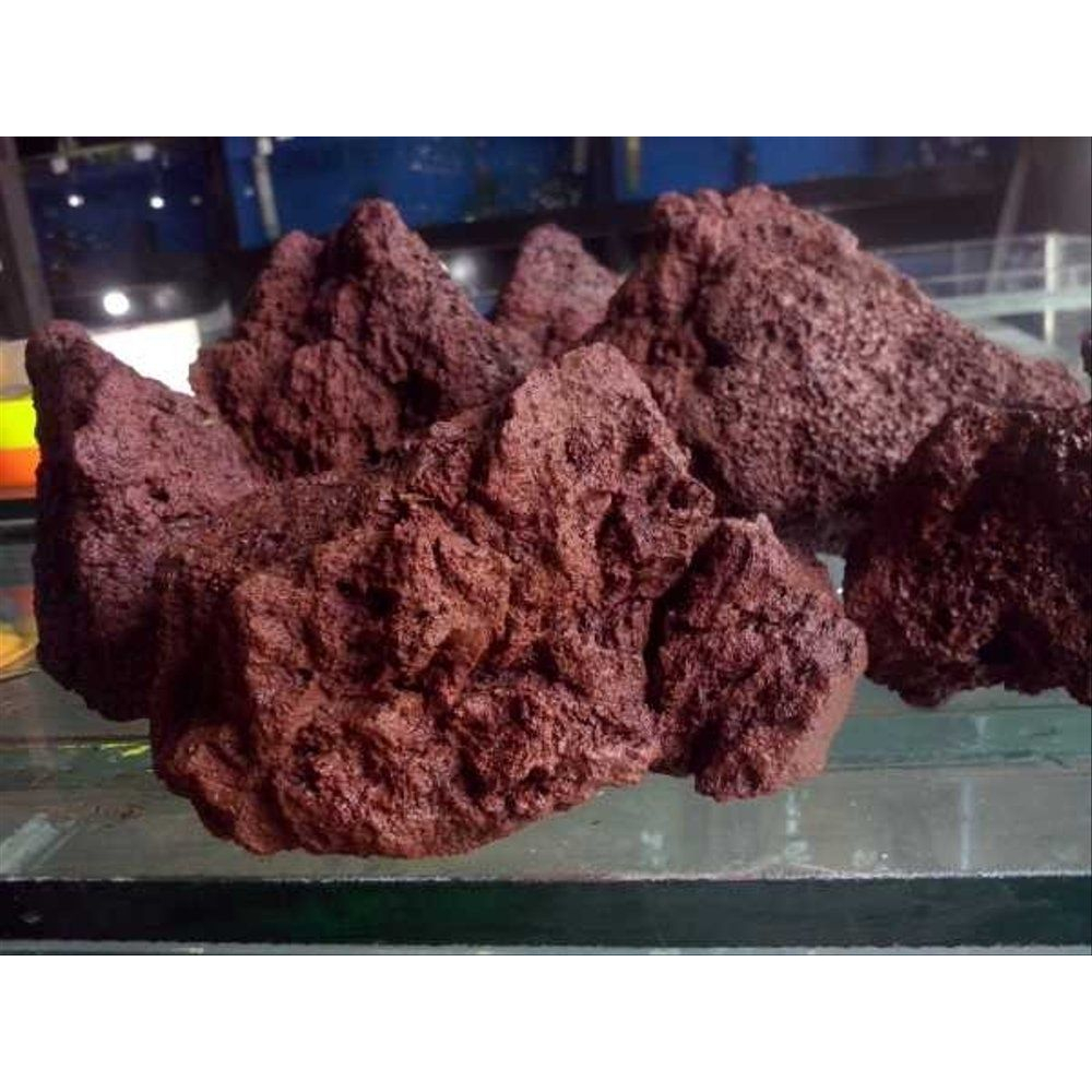 Jual Batu LAVA ROCK 1kg Aquascape Aquarium LAVAROCK LARVA ROCK 1 kg ...