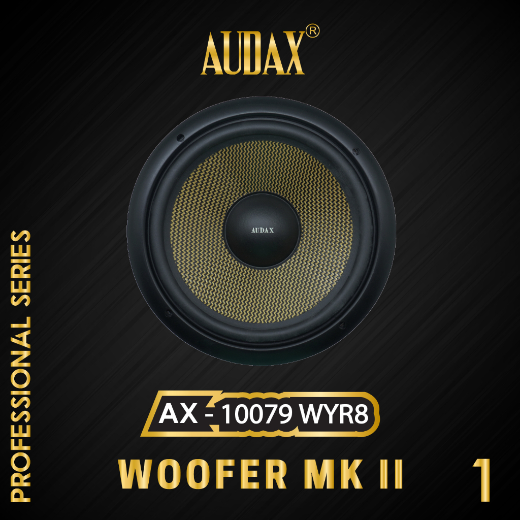Jual Audax - Speaker Pasif 10" Audax AX - 10079 WYR8 Professional Series Woofer MK II | Shopee ...
