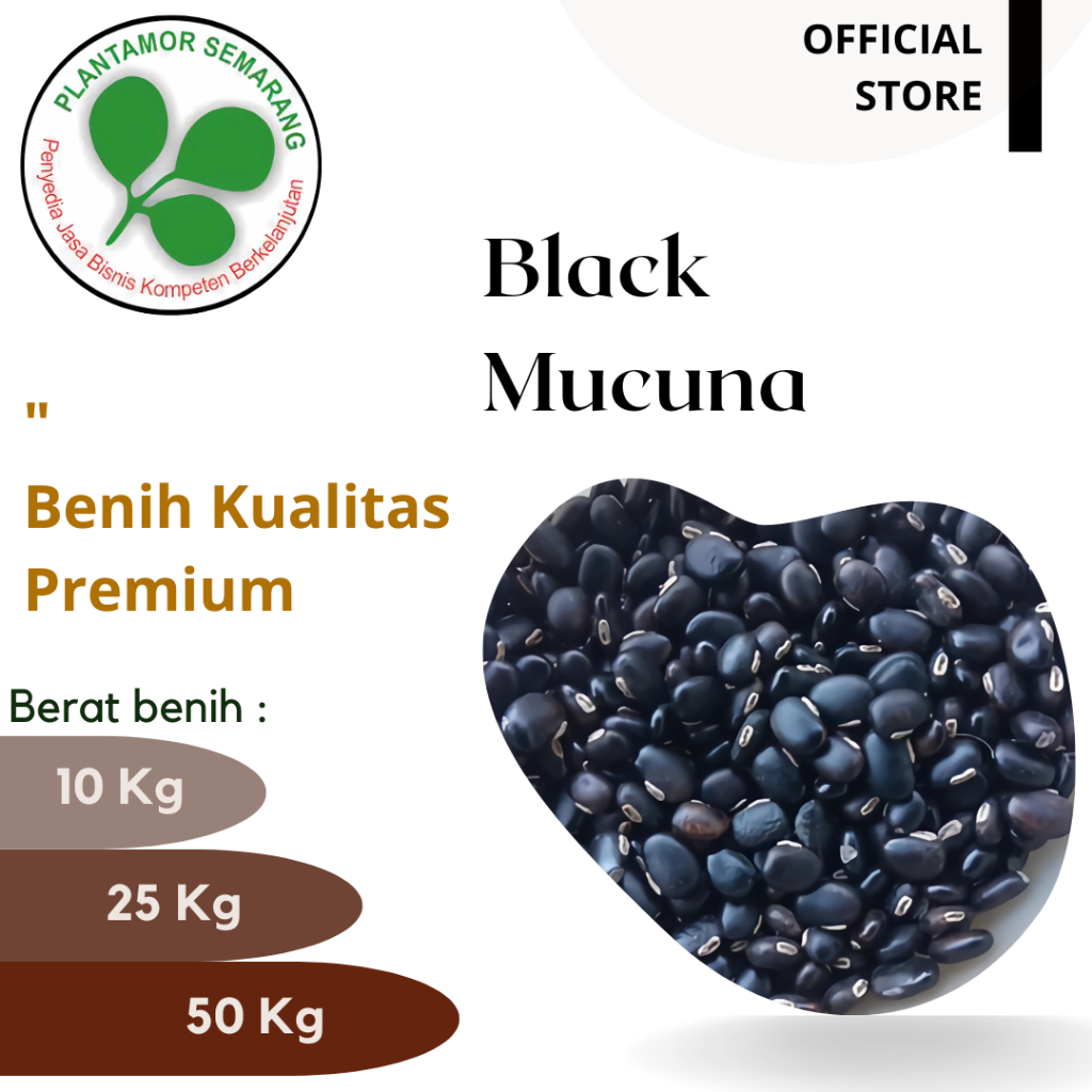 Jual Benih Black Mucuna atau Koro Benguk Hitam 10kg /25 kg /50 Kg ...