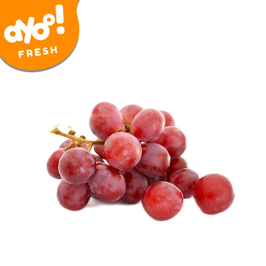 Jual Anggur Red Globe Afrika 1 Kg | Shopee Indonesia