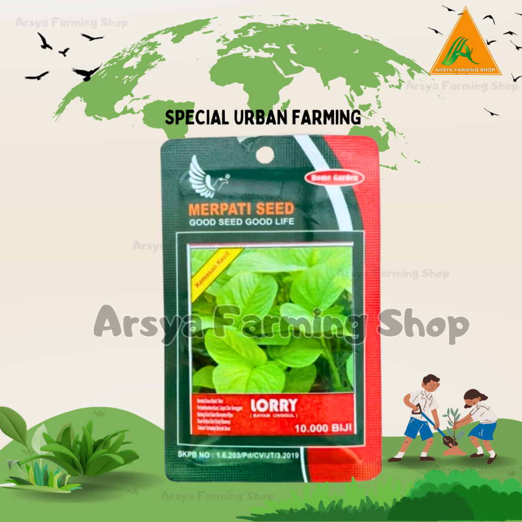 Jual Benih Merpati Seed Lorry Bayam Hijau 10000 Biji Kemasan Pabrik ...
