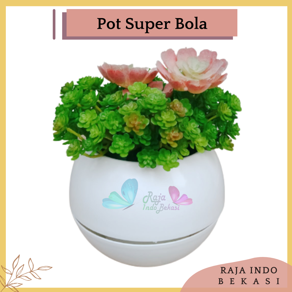 Jual Pot Super Bola Putih Pot Bulat Vienna Putih Coklat Besar Pot Bola ...