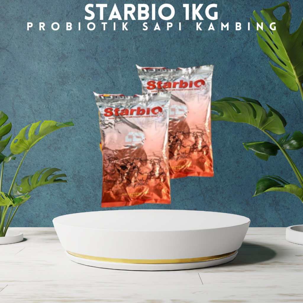 Jual Starbio Probiotik Ternak Ruminansia 1Kg – Campuran Pakan Sapi ...