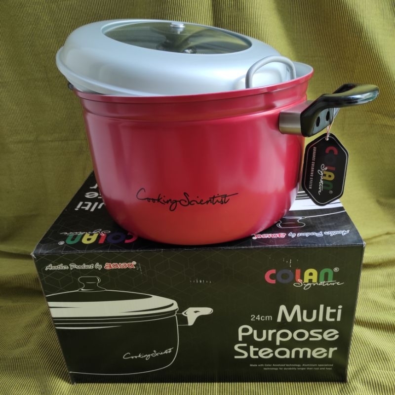 Jual Dandang Langseng multi purpose Steamer Panci 24cm | Shopee Indonesia
