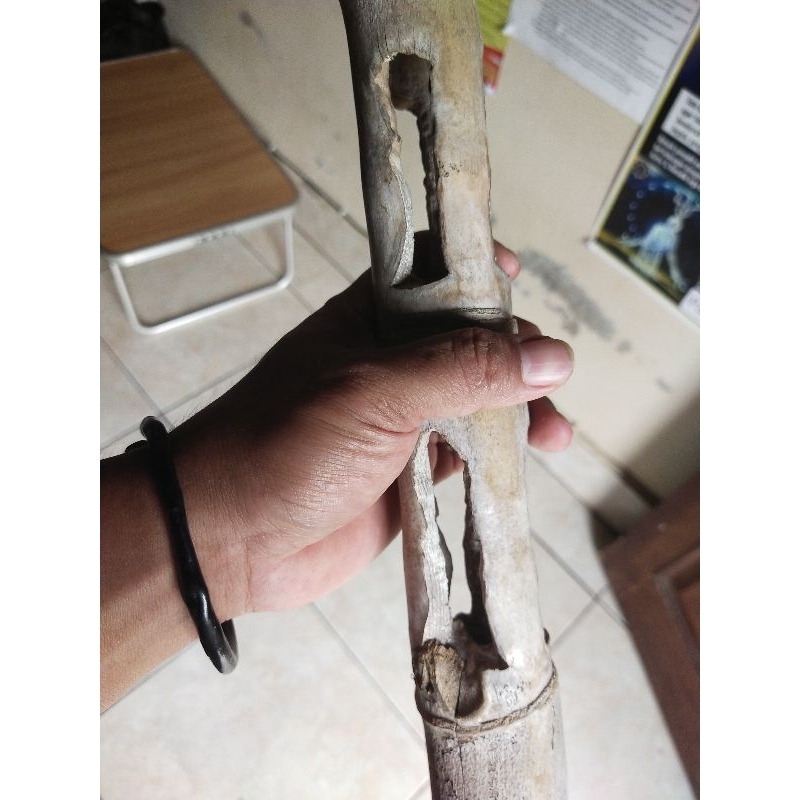 Jual Bambu combong alami panjang 1.60 cm | Shopee Indonesia