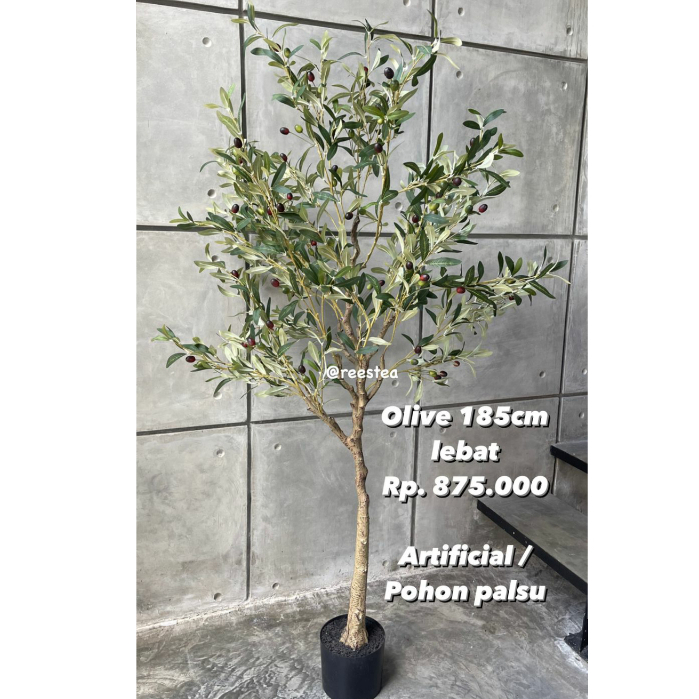 Jual Pohon Hias Olive Tinggi 185 cm /pohon hias Palsu/ pohon zaitun ...