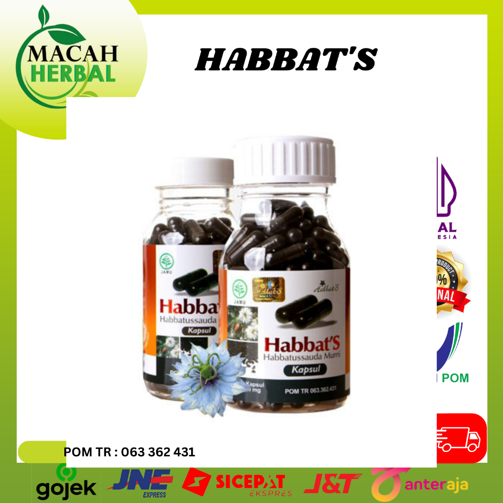 Jual MACAH HERBAL - HABBAT'S HABBATUSSAUDA MURNI JINTEN HITAM BLACK ...