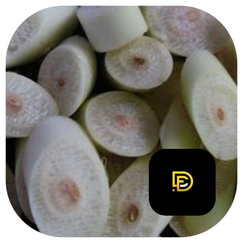 Jual Umbut pisang batang pisang muda pilihan segar 1 kg | Shopee Indonesia