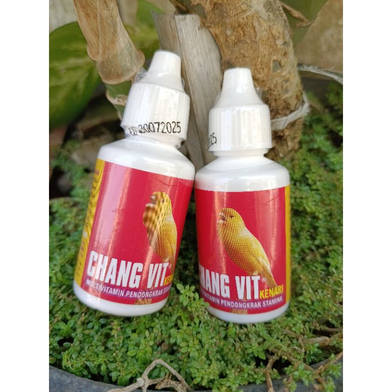 Jual CHANG VIT KENARI MULTIVITAMIN PENDONGKRAK DURASI KENARI | Shopee ...