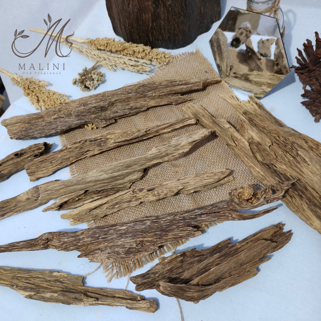 Jual KAYU GAHARU MALINAU AB SUPER TABII OUD AGARWOOD ORIGINAL ...