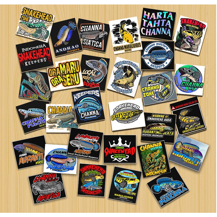 Jual STICKER CHANNA STIKER IKAN CHANA KEPERS INDONESIA | Shopee Indonesia