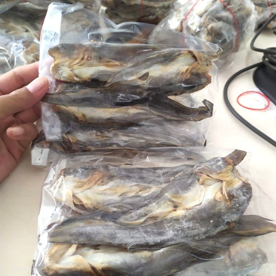 Jual Ikan Sembilang Asin Kering RJ Fish | Shopee Indonesia