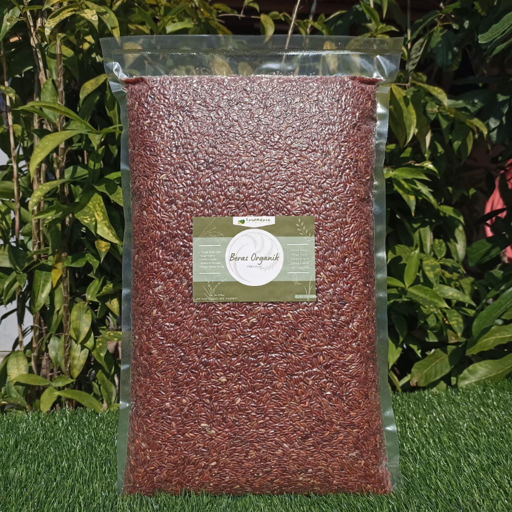 Jual Beras Merah Organik Premium Fresh langsung dari Petani | 5kg ...